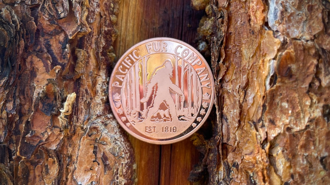Bigfoot Coins - Coin Magic! – Copeland